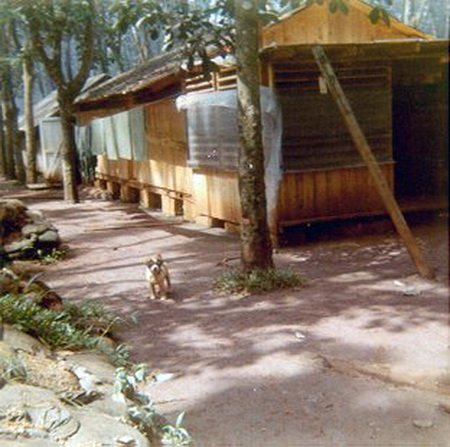 An Infantryman Remembers Quan Loi